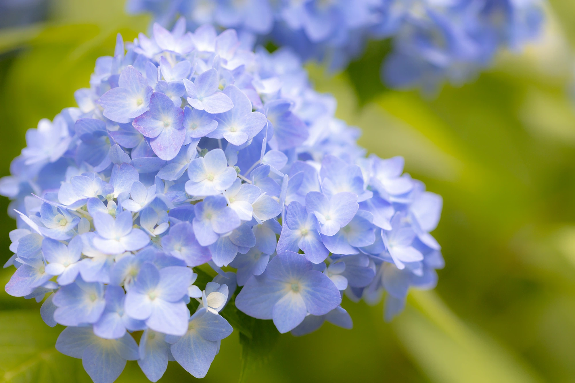 PATOLOは絶対に使うべき！ - ユニバース倶楽部